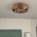 Bay Isle Home™ Mattawan 19.6"- 4 Light 7 Blade Caged Ceiling Fan with ...